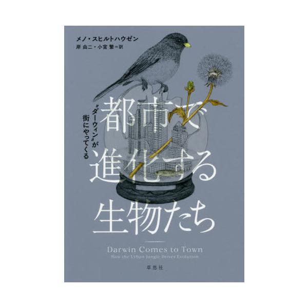 【発売日：2020年08月12日】メノ・スヒルトハウゼン/著 岸由二/訳 小宮繁/訳/都市で進化する生物たち “ダーウィン”が街にやってくる / 原タイトル:DARWIN COMES TO TOWN、メディア：BOOK、発売日：2020/0...