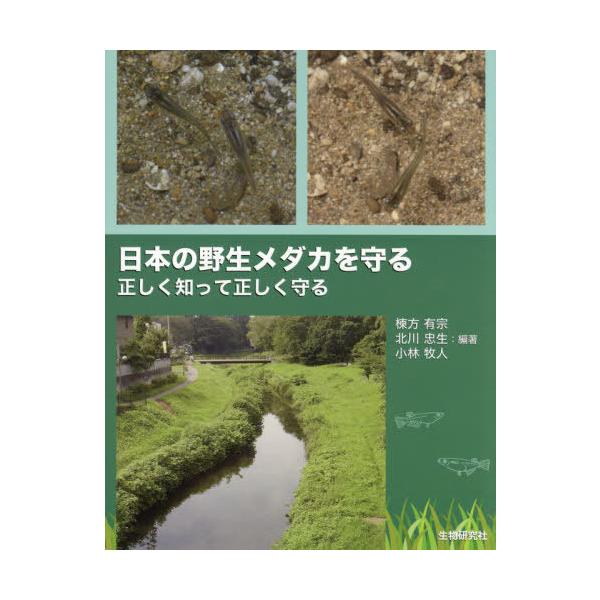 【発売日：2020年10月28日】棟方有宗/編著 北川忠生/編著 小林牧人/編著/日本の野生メダカを守る、メディア：BOOK、発売日：2020/10、重量：377g、商品コード：NEOBK-2575435、JANコード/ISBNコード：97...