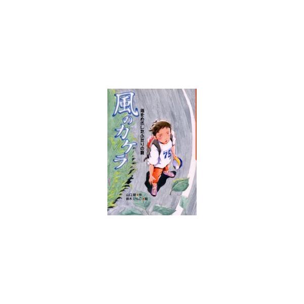 【発売日：2003年12月28日】山口理 鈴木びんこ/風のカケラ 海をめざしたふたりの夏、メディア：BOOK、発売日：2003/12、重量：340g、商品コード：NEOBK-258795、JANコード/ISBNコード：9784811378046