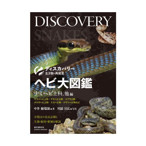 【発売日：2021年05月21日】中井穂瑞領/著 川添宣広/写真/ヘビ大図鑑 分類ほか改良品種と生態・飼育・繁殖を解説 ナミヘビ上科、他編 (ディスカバリー生き物・再発見)、メディア：BOOK、発売日：2021/05、重量：340g、商品コ...