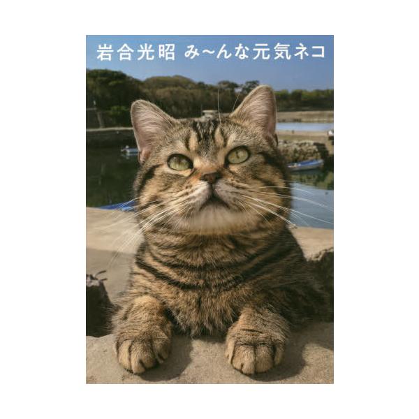 【発売日：2021年07月29日】岩合光昭/著 猫びより編集部/編集/ニッポンの猫写真集 岩合光昭 み〜んな元気ネコ、メディア：BOOK、発売日：2021/07、重量：588g、商品コード：NEOBK-2641061、JANコード/ISBN...