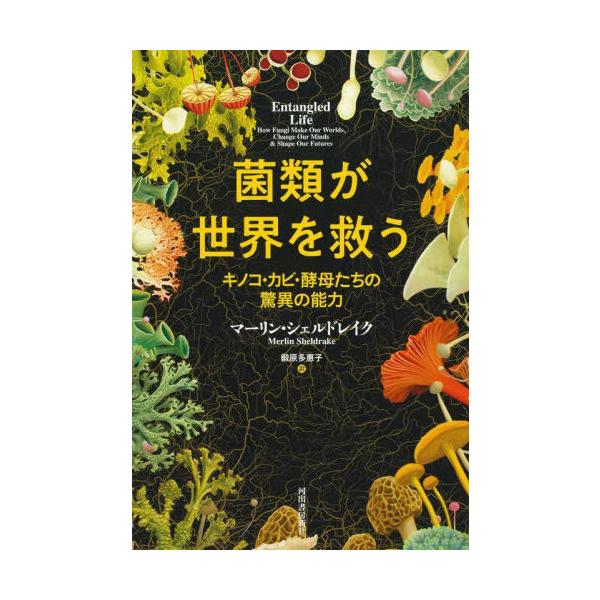 【発売日：2022年01月22日】マーリン・シェルドレイク/著 鍛原多惠子/訳/菌類が世界を救う キノコ・カビ・酵母たちの驚異の能力 / 原タイトル:Entangled Life、メディア：BOOK、発売日：2022/01、重量：491g、...