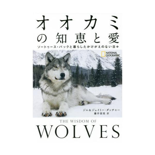 【発売日：2022年02月16日】ジム・ダッチャー/著 ジェイミー・ダッチャー/著 藤井留美/訳/オオカミの知恵と愛 ソートゥース・パックと暮らしたかけがえのない日々 / 原タイトル:THE WISDOM OF WOLVES (NATION...