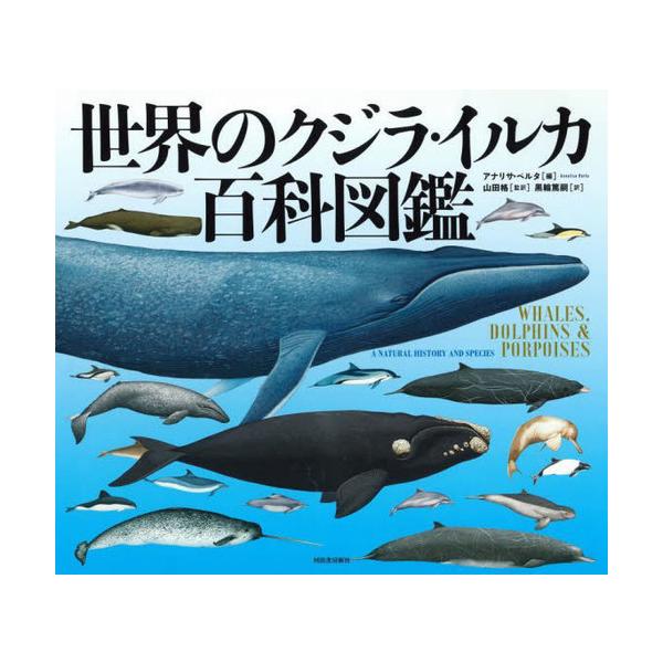【発売日：2022年04月25日】アナリサ・ベルタ/編 山田格/監訳 黒輪篤嗣/訳/世界のクジラ・イルカ百科図鑑 新装版 / 原タイトル:WHALES DOLPHINS &amp; PORPOISES、メディア：BOOK、発売日：2022/...