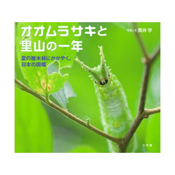 【発売日：2022年07月05日】筒井学/写真と文/オオムラサキと里山の一年 夏の雑木林にかがやく、日本の国蝶 (小学館の図鑑NEOの科学絵本)、メディア：BOOK、発売日：2022/07、重量：382g、商品コード：NEOBK-27545...