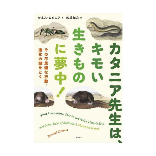 【発売日：2022年08月07日】ケネス・カタニア/著 的場知之/訳/カタニア先生は、キモい生きものに夢中! その不思議な行動・進化の謎をとく / 原タイトル:Great Adaptations、メディア：BOOK、発売日：2022/08、...