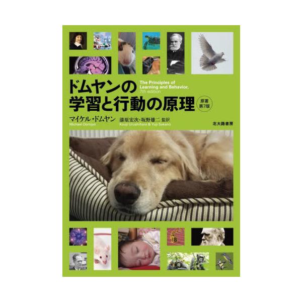 【発売日：2022年10月06日】マイケル・ドムヤン/著 漆原宏次/監訳 坂野雄二/監訳/ドムヤンの学習と行動の原理 / 原タイトル:THE PRINCIPLES OF LEARNING AND BEHAVIOR 原著第7版の翻訳、メディア...
