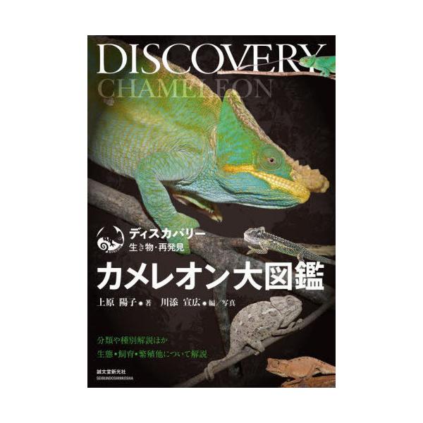 【発売日：2022年11月05日】上原陽子/著 川添宣広/編写真/カメレオン大図鑑 分類や種別解説ほか生態・飼育・繁殖について解説 (ディスカバリー生き物・再発見)、メディア：BOOK、発売日：2022/11、重量：848g、商品コード：N...