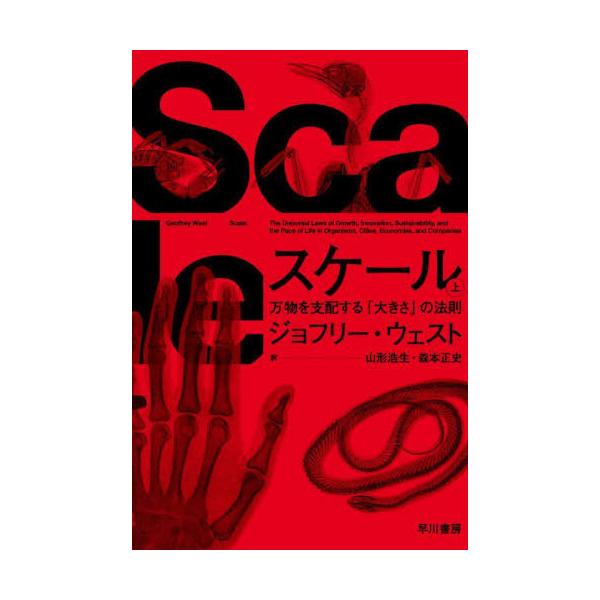 【発売日：2022年12月07日】ジョフリー・ウェスト/著 山形浩生/訳 森本正史/訳/スケール 万物を支配する「大きさ」の法則 上 / 原タイトル:SCALE (ハヤカワ文庫 NF 596)、メディア：BOOK、発売日：2022/12、重...