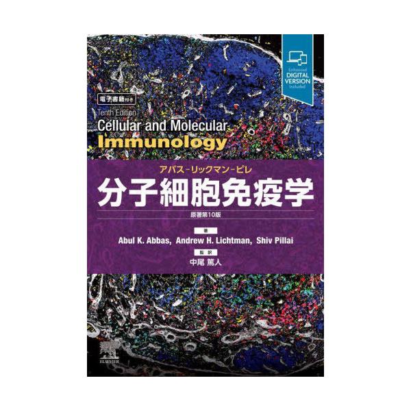 【発売日：2022年12月25日】AbulK.Abbas/著 AndrewH.Lichtman/著 ShivPillai/著 中尾篤人/監訳/分子細胞免疫学 アバスーリックマンーピレ / 原タイトル:CELLULAR AND MOLECUL...