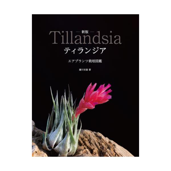 【発売日：2023年03月19日】藤川史雄/著 大美賀隆/著/ティランジア エアプランツ栽培図鑑 [新版] (アクアライフの本)、メディア：BOOK、発売日：2023/03、重量：542g、商品コード：NEOBK-2842629、JANコー...