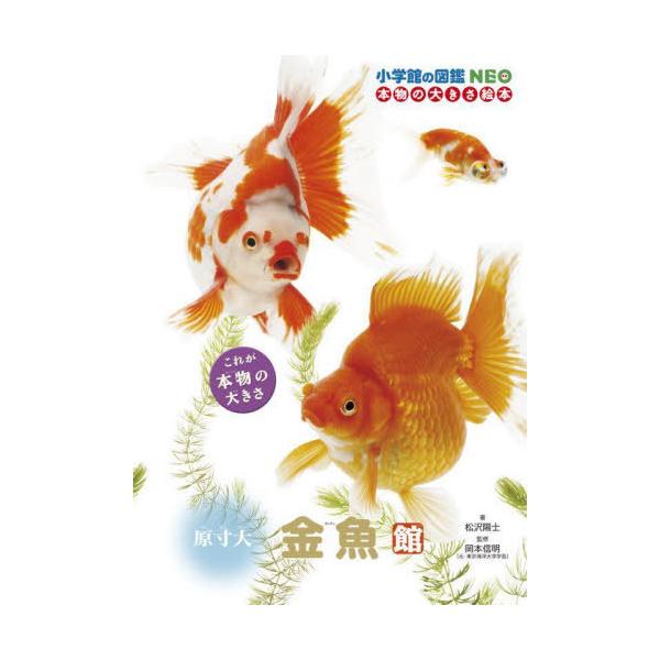 【発売日：2023年03月29日】松沢陽士/著 岡本信明/監修/金魚館 原寸大 (小学館の図鑑NEO)、メディア：BOOK、発売日：2023/03、重量：450g、商品コード：NEOBK-2845520、JANコード/ISBNコード：978...