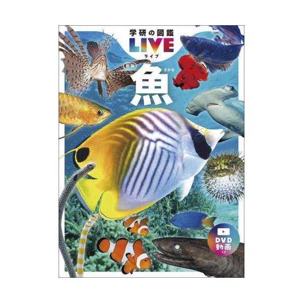 【発売日：2023年06月15日】本村浩之/総監修/魚 (学研の図鑑LIVE)、メディア：BOOK、発売日：2023/06、重量：340g、商品コード：NEOBK-2867997、JANコード/ISBNコード：9784052055287