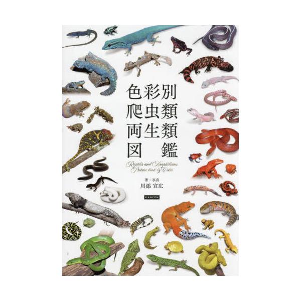 【発売日：2023年08月06日】川添宣広/著・写真/色彩別爬虫類・両生類図鑑、メディア：BOOK、発売日：2023/08、重量：463g、商品コード：NEOBK-2888141、JANコード/ISBNコード：9784862556943
