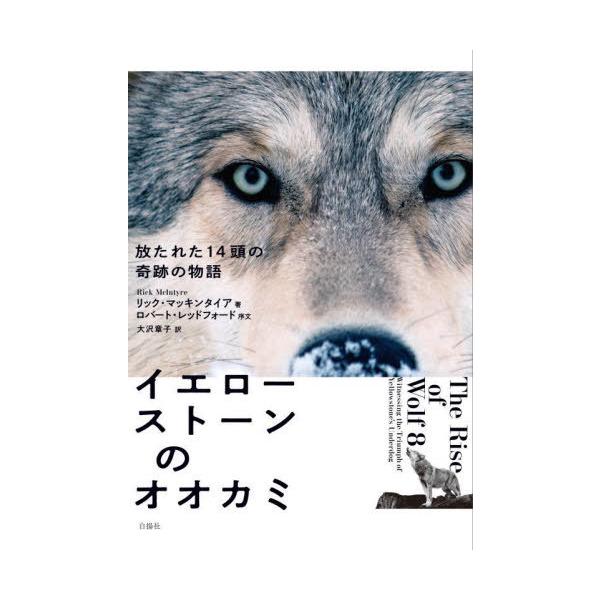 【発売日：2023年09月01日】リック・マッキンタイア/著 大沢章子/訳/イエローストーンのオオカミ 放たれた14頭の奇跡の物語 / 原タイトル:The Rise of Wolf 8、メディア：BOOK、発売日：2023/09、重量：34...