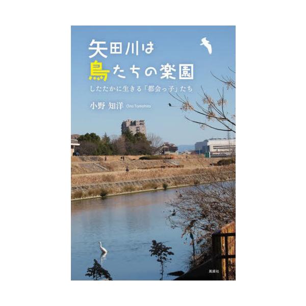 【発売日：2023年09月28日】小野知洋/著/矢田川は鳥たちの楽園 したたかに生きる「都会っ子」たち、メディア：BOOK、発売日：2023/09、重量：500g、商品コード：NEOBK-2904432、JANコード/ISBNコード：978...