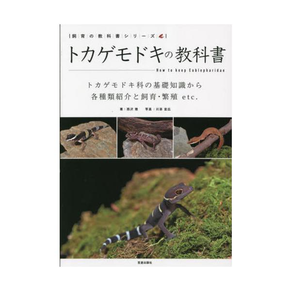 【発売日：2023年10月27日】西沢雅/著 川添宣広/写真/トカゲモドキの教科書 トカゲモドキ科の基礎知識から各種類紹介と飼育・繁殖etc. (飼育の教科書シリーズ)、メディア：BOOK、発売日：2023/10、重量：309g、商品コード...