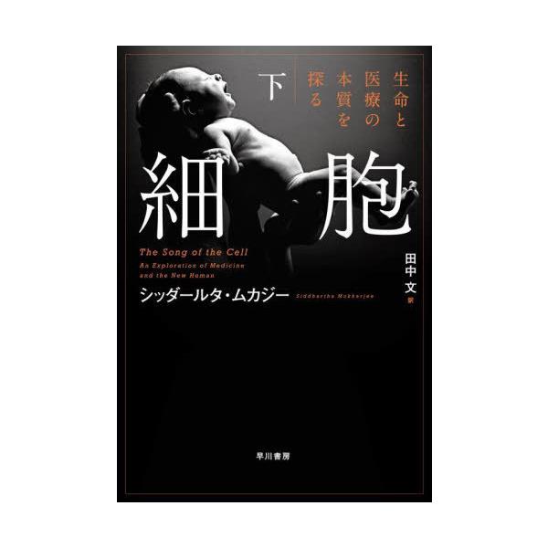 【発売日：2024年01月28日】シッダールタ・ムカジー/著 田中文/訳/細胞 生命と医療の本質を探る 下 / 原タイトル:THE SONG OF THE CELL、メディア：BOOK、発売日：2024/01、重量：500g、商品コード：N...
