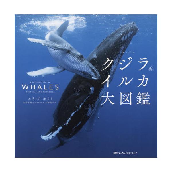 【発売日：2024年02月15日】エリック・ホイト/著 田島木綿子/日本語版監修 片神貴子/訳/ビジュアルクジラ&amp;イルカ大図鑑 / 原タイトル:ENCYCLOPEDIA OF WHALES DOLPHINS AND PORPOISE...