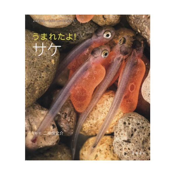 【発売日：2024年02月28日】二神慎之介/写真・文/うまれたよ!サケ (よみきかせいきものしゃしんえほん)、メディア：BOOK、発売日：2024/02、重量：340g、商品コード：NEOBK-2955299、JANコード/ISBNコード...