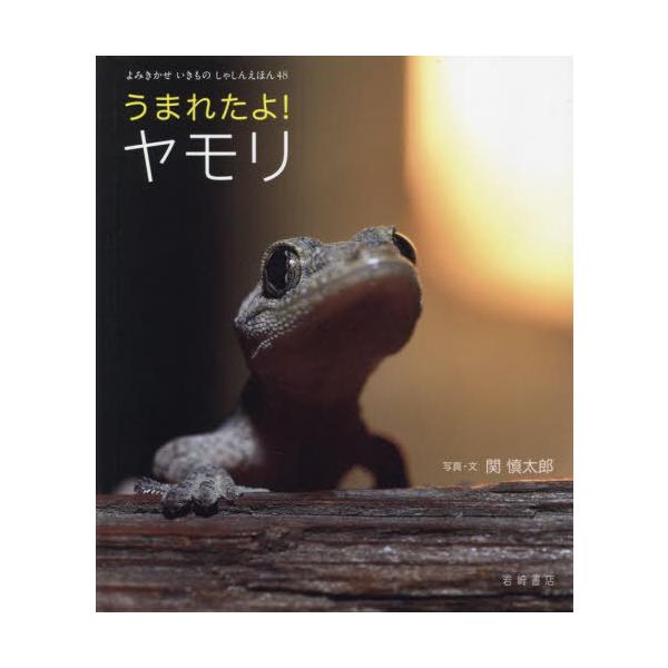 【発売日：2024年02月28日】関慎太郎/写真・文/うまれたよ!ヤモリ (よみきかせいきものしゃしんえほん)、メディア：BOOK、発売日：2024/02、重量：340g、商品コード：NEOBK-2955301、JANコード/ISBNコード...