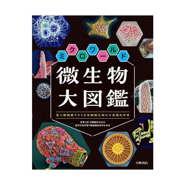 【発売日：2024年03月28日】宮澤七郎/監修 洲崎敏伸/監修 医学生物学電子顕微鏡技術学会/編/ミクロワールド微生物大図鑑 電子顕微鏡でさぐる単細胞生物の不思議な世界、メディア：BOOK、発売日：2024/03、重量：340g、商品コー...