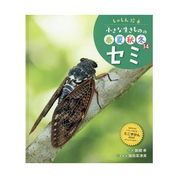 【発売日：2024年03月28日】池田菜津美/文・構成/セミ (しゃしん絵本 小さな生きものの春夏 14)、メディア：BOOK、発売日：2024/03、重量：450g、商品コード：NEOBK-2965136、JANコード/ISBNコード：9...