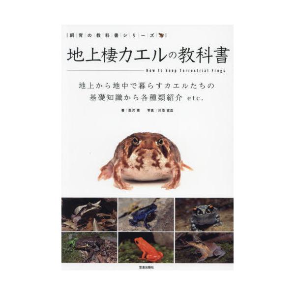 【発売日：2024年05月30日】西沢雅/著 川添宣広/写真/地上棲カエルの教科書 地上から地中で暮らすカエルたちの基礎知識から各種類紹介etc. (飼育の教科書シリーズ)、メディア：BOOK、発売日：2024/05、重量：340g、商品コ...