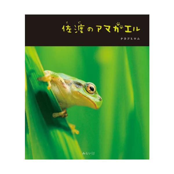 【発売日：2024年06月15日】ナカツヒロム/著/佐渡のアマガエル (ネイチャー絵本シリーズ)、メディア：BOOK、発売日：2024/06、重量：450g、商品コード：NEOBK-2989182、JANコード/ISBNコード：978443...