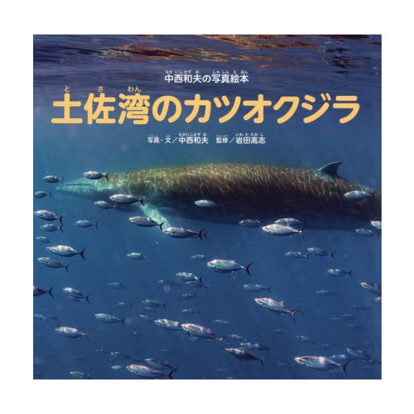 【発売日：2024年09月28日】中西和夫/写真・文 岩田高志/監修/土佐湾のカツオクジラ 中西和夫の写真絵本、メディア：BOOK、発売日：2024/09、重量：450g、商品コード：NEOBK-3022053、JANコード/ISBNコード...