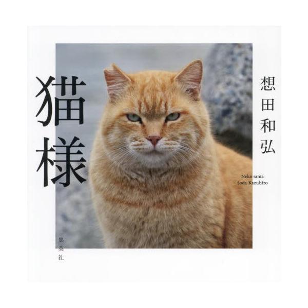 【発売日：2024年10月18日】想田和弘/著/猫様、メディア：BOOK、発売日：2024/10、重量：340g、商品コード：NEOBK-3030735、JANコード/ISBNコード：9784834253900