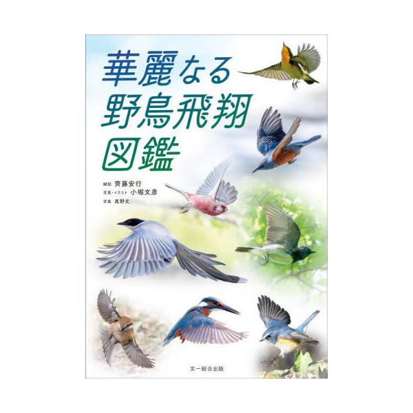 【発売日：2024年11月28日】齊藤安行/解説 小堀文彦/写真・イラスト 高野丈/写真/華麗なる野鳥飛翔図鑑、メディア：BOOK、発売日：2024/11、重量：377g、商品コード：NEOBK-3034597、JANコード/ISBNコード...