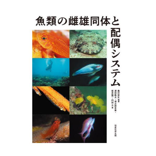 【発売日：2024年11月09日】桑村哲生/編著 澤田紘太/〔ほか〕著/魚類の雌雄同体と配偶システム、メディア：BOOK、発売日：2024/11、重量：500g、商品コード：NEOBK-3035842、JANコード/ISBNコード：9784...