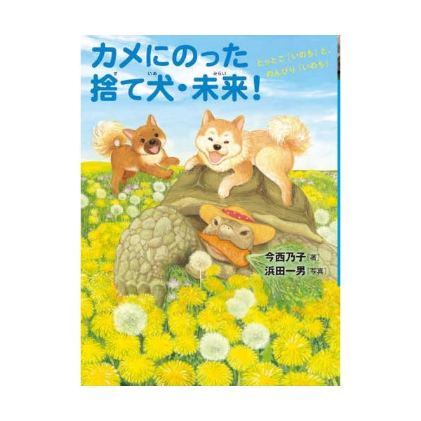 【発売日：2024年11月17日】今西乃子/著 浜田一男/写真/カメにのった捨て犬・未来! とっとこ「いのち」と、のんびり「いのち」、メディア：BOOK、発売日：2024/11、重量：340g、商品コード：NEOBK-3038672、JAN...