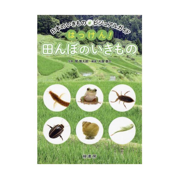 【発売日：2024年11月22日】関慎太郎/写真 大塚泰介/編著/はっけん!田んぼのいきもの (日本のいきものビジュアルガイド)、メディア：BOOK、発売日：2024/11、重量：340g、商品コード：NEOBK-3040805、JANコー...