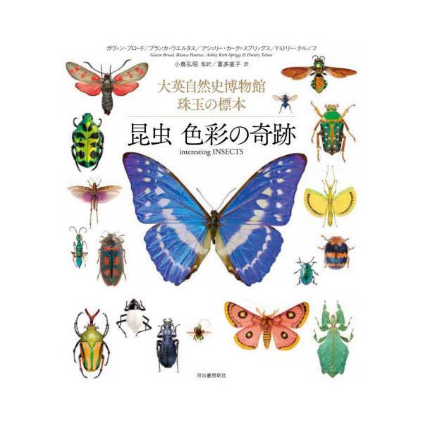 【発売日：2024年11月27日】ガヴィン・ブロード/〔ほか〕著 小島弘昭/監訳 喜多直子/訳/昆虫色彩の奇跡 大英自然史博物館珠玉の標本 / 原タイトル:Interesting Insects、メディア：BOOK、発売日：2024/11、...