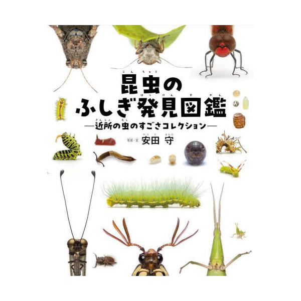 【発売日：2025年02月14日】安田守/写真・文/昆虫のふしぎ発見図鑑 近所の虫のすごさコレクション、メディア：BOOK、発売日：2025/02、重量：340g、商品コード：NEOBK-3065995、JANコード/ISBNコード：978...