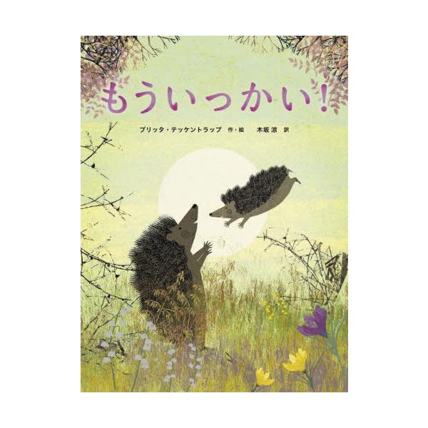 【発売日：2025年02月14日】ブリッタ・テッケントラップ/作・絵 木坂涼/訳/もういっかい! / 原タイトル:Nochmal!、メディア：BOOK、発売日：2025/02、重量：450g、商品コード：NEOBK-3066039、JANコ...