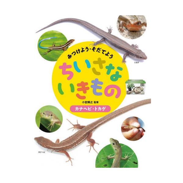 【発売日：2025年02月28日】小宮輝之/監修/みつけよう・そだてようちいさないきもの 3、メディア：BOOK、発売日：2025/02、重量：340g、商品コード：NEOBK-3067949、JANコード/ISBNコード：97843230...