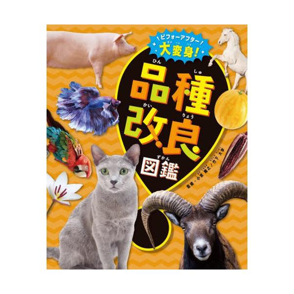 【発売日：2025年01月28日】小宮輝之/監修 竹下大学/監修/ビフォーアフター大変身!品種改良図鑑、メディア：BOOK、発売日：2025/01、重量：340g、商品コード：NEOBK-3068824、JANコード/ISBNコード：978...