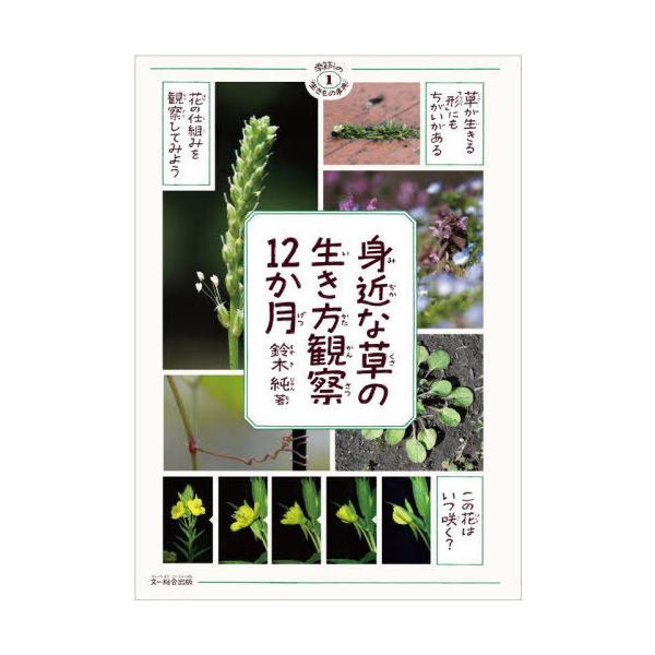 【発売日：2025年03月28日】鈴木純/著/身近な草の生き方観察12か月 (季節の生きもの事典)、メディア：BOOK、発売日：2025/03、重量：246g、商品コード：NEOBK-3069243、JANコード/ISBNコード：97848...