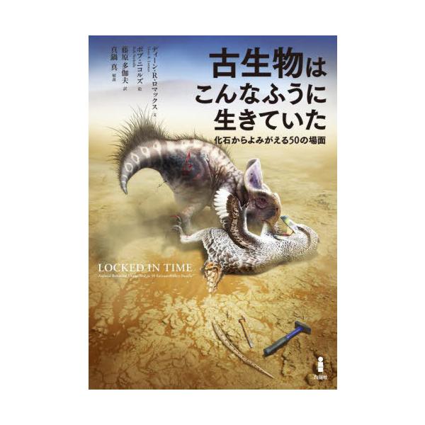 【発売日：2025年03月02日】ディーン・R.ロマックス/文 ボブ・ニコルス/絵 藤原多伽夫/訳/古生物はこんなふうに生きていた 化石からよみがえる50の場面 / 原タイトル:LOCKED IN TIME、メディア：BOOK、発売日：20...