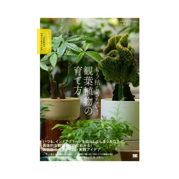 【発売日：2025年03月04日】谷奥俊男/著/もう枯らさない!観葉植物の育て方 (プロが教えるセオリー&amp;アイデア)、メディア：BOOK、発売日：2025/03、重量：501g、商品コード：NEOBK-3072774、JANコード/...