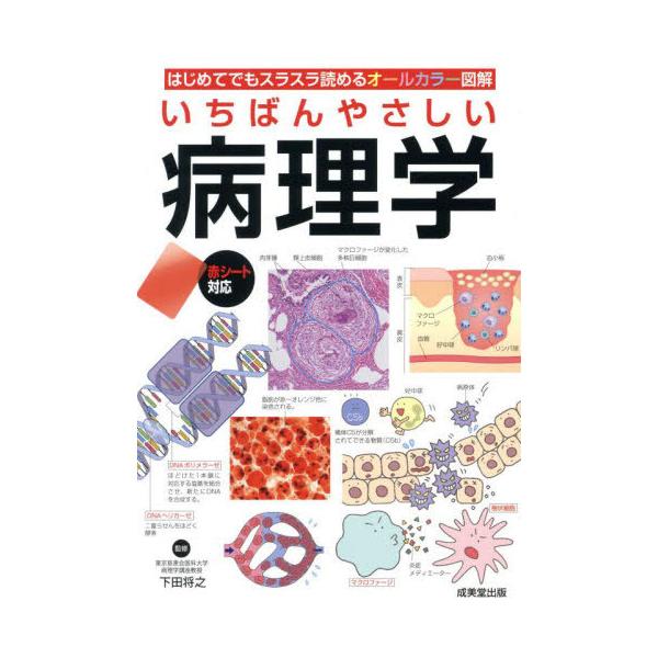 【発売日：2025年03月12日】下田将之/監修/いちばんやさしい病理学 はじめてでもスラスラ読めるオールカラー図解、メディア：BOOK、発売日：2025/03、重量：407g、商品コード：NEOBK-3074634、JANコード/ISBN...