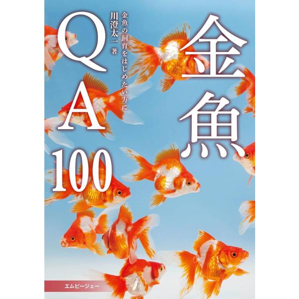 【発売日：2025年03月23日】川澄太一/著/金魚QA100 育成・色揚げ・混泳・繁殖・病気対策 金魚の飼育をはじめたい方に (アクアライフの本)、メディア：BOOK、発売日：2025/03、重量：340g、商品コード：NEOBK-307...