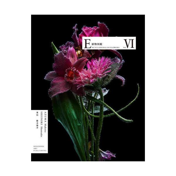 【発売日：2025年03月28日】東信/アートワーク 椎木俊介/写真/植物図鑑 6、メディア：BOOK、発売日：2025/03、重量：690g、商品コード：NEOBK-3084936、JANコード/ISBNコード：9784861529856