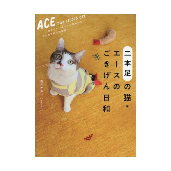 【発売日：2025年04月23日】新井かおり/著/二本足の猫・エースのごきげん日和、メディア：BOOK、発売日：2025/04、重量：340g、商品コード：NEOBK-3090011、JANコード/ISBNコード：9784865937282