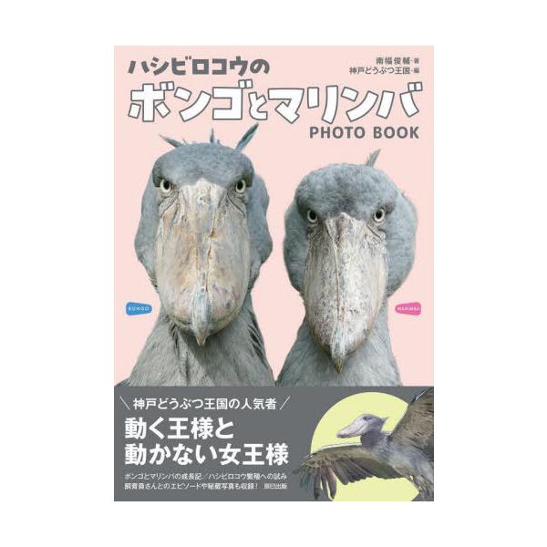 【発売日：2025年04月26日】南幅俊輔/著 神戸どうぶつ王国/編著/ハシビロコウのボンゴとマリンバ PHOTO BOOK、メディア：BOOK、発売日：2025/04、重量：340g、商品コード：NEOBK-3091024、JANコード/...