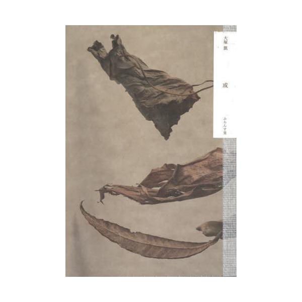 【発売日：2025年05月28日】大塚凱/著/或、メディア：BOOK、発売日：2025/05、重量：340g、商品コード：NEOBK-3099790、JANコード/ISBNコード：9784781417509