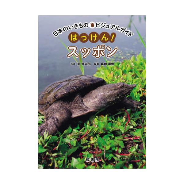 【発売日：2025年05月29日】関慎太郎/写真 亀崎直樹/編著/はっけん!スッポン (日本のいきものビジュアルガイド)、メディア：BOOK、発売日：2025/05、重量：340g、商品コード：NEOBK-3100113、JANコード/IS...